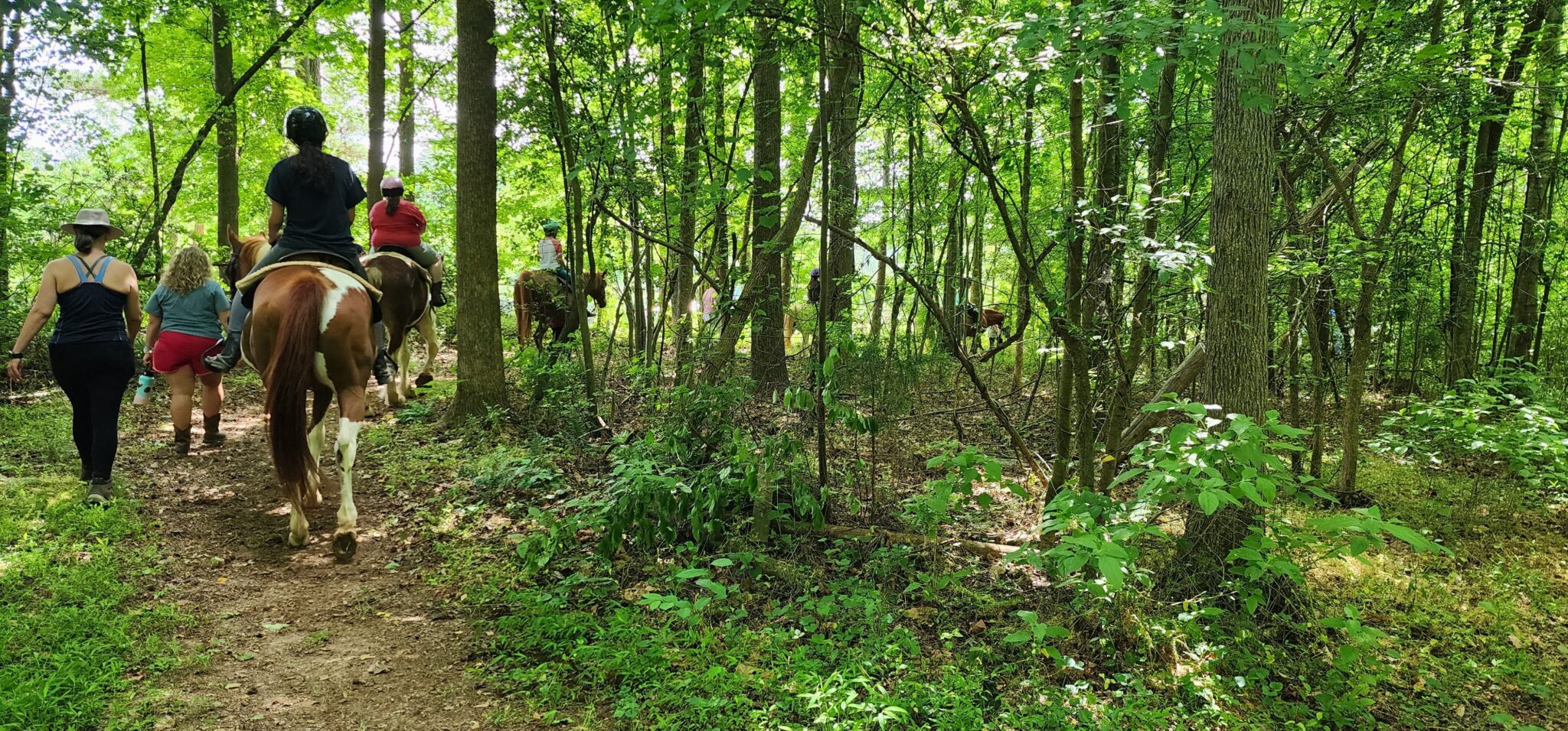 HORSES for HOPE TRC, Inc.